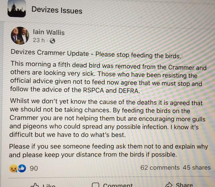 Devizes Town Councillors LIED About Bird Flu on Crammer – devizine.com