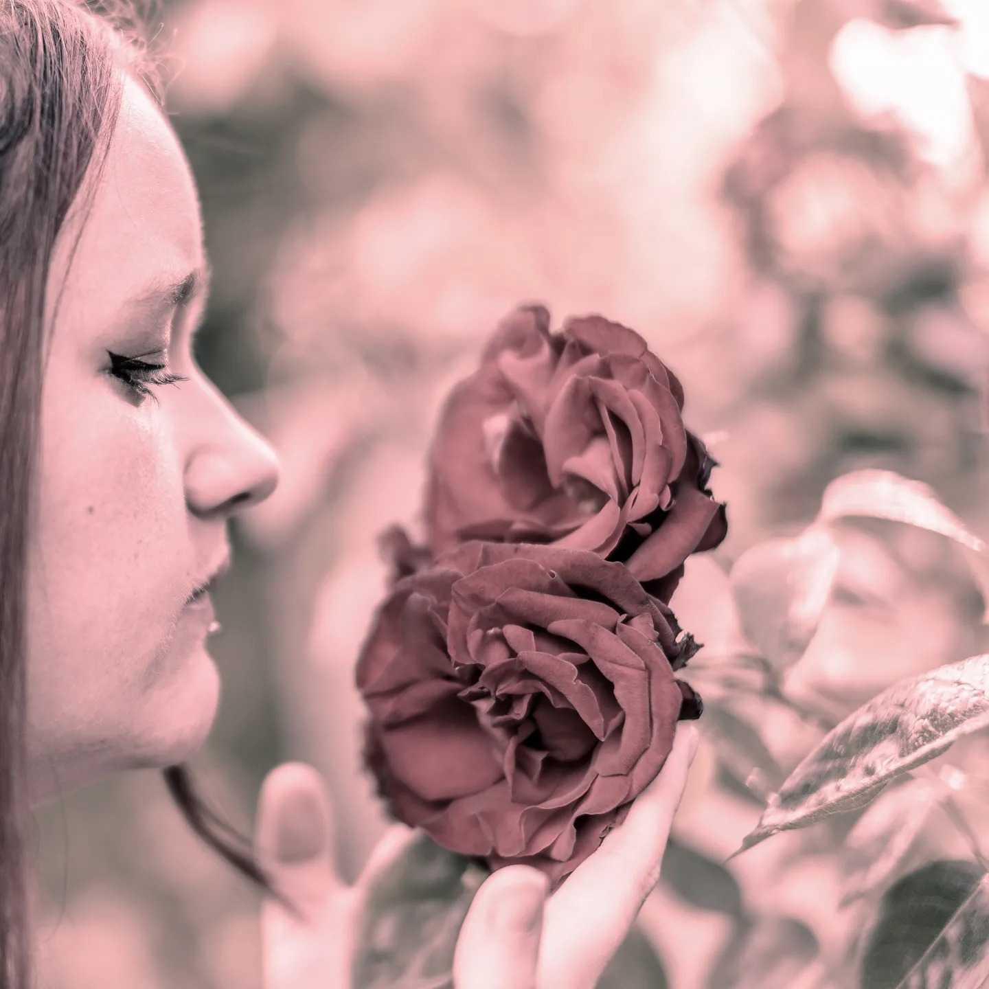 devizine.com – What's on Wiltshire: Devizes, Chippenham, Trowbridge, Melksham, Calne ...